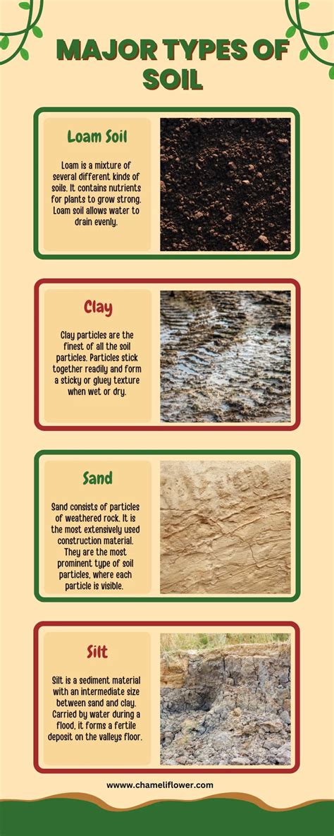 Soil Types Guide And How To Identify Your Soil Type