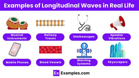Longitudinal Waves 30 Examples Formula Differences Characteristics