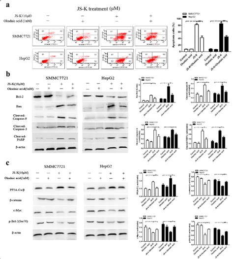 Effects Of Okadaic Acid Oa On Js K Induced Cell Apoptosis And Pp2a
