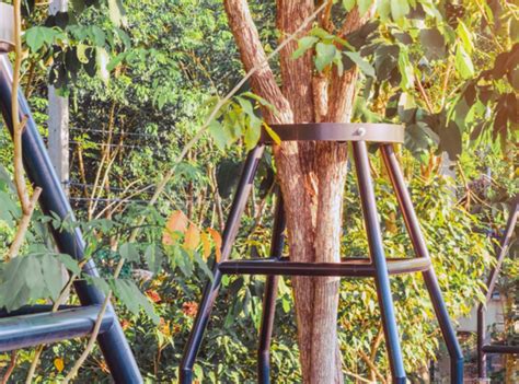 What Are Tree Support Systems Florida Wire And Rigging Supply Inc