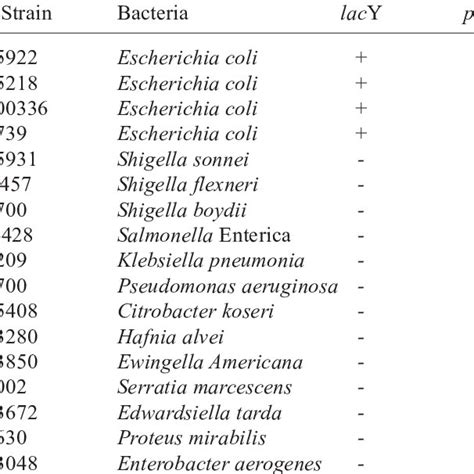Evaluation Results Of Duplex Pcr Assay Download Table