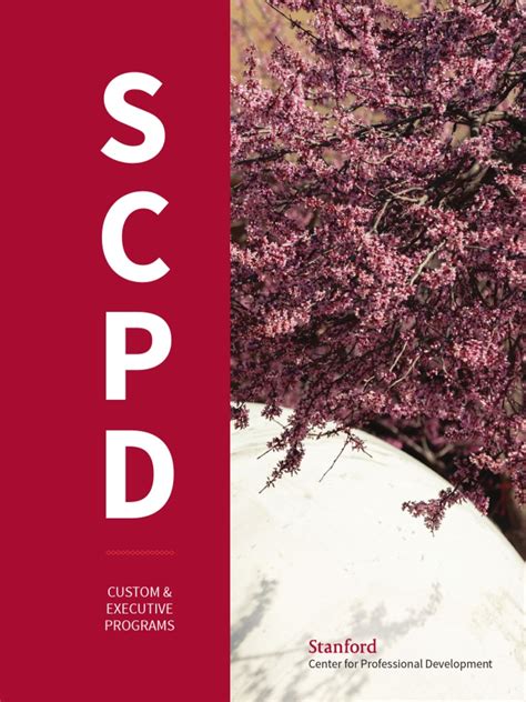 Stanford Scpd Brochure Web Pdf Innovation Stanford University