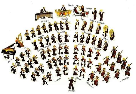 Why Is The Orchestra Seated That Way An Explanation Artofit