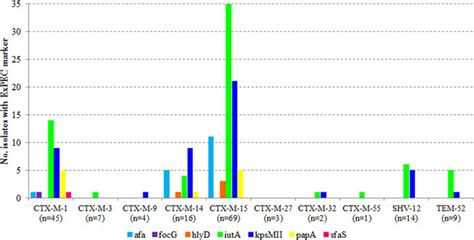 Distribution Of Expec Markers Among Esbl Producing E Coli Isolates