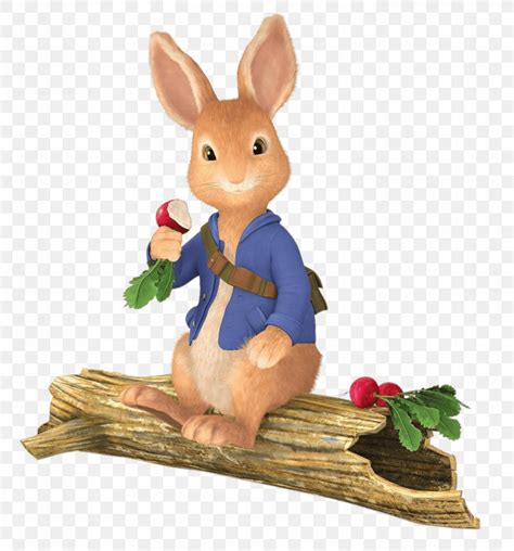 The Tale Of Peter Rabbit Mr Mcgregor Character Png 1492x1600px