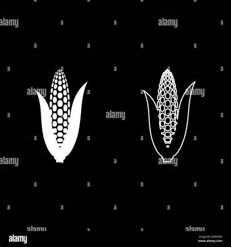 Corn Ear Set Icon White Color Vector Illustration Image Simple Solid Fill Outline Contour Line