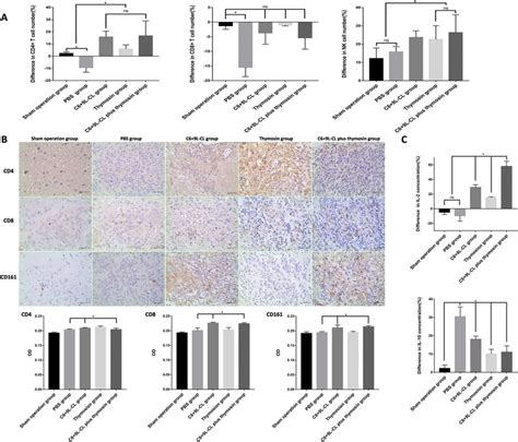 The C6 9l Cl Vaccine Promoted The Immune Response In Vivo A The