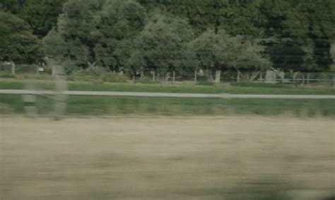 That Field Of Flowers Ah Theyre Sex Organs Did You Know That Yeah