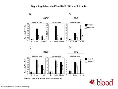 By Gordon Chan Laurene S Ppt Download