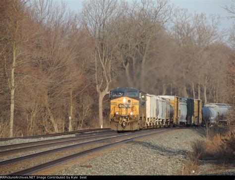 Double Yn2 In Full Sun