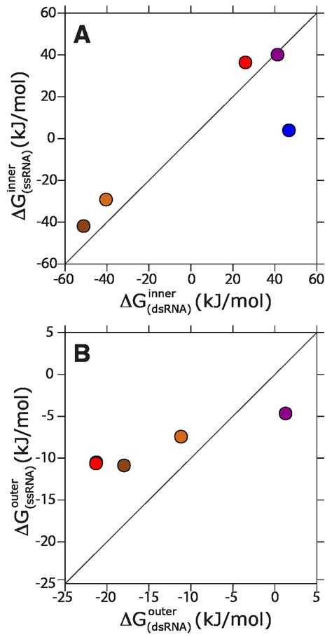Mg 2 Binding Affinities On A Dsrna Vs Ssrna Plot A Shows Inner Download Scientific Diagram