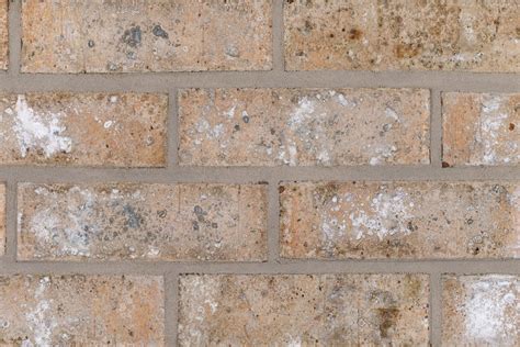 Willow Ash Brickworks Supply