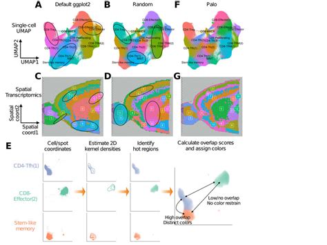 A B Visualization Of Single Cell RNA Seq Data With Default Ggplot Download Scientific