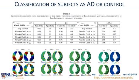 ppt wavelets on manifolds powerpoint presentation free download id