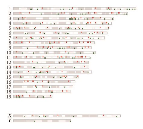 identification of degs in the transcriptional profile from db db and