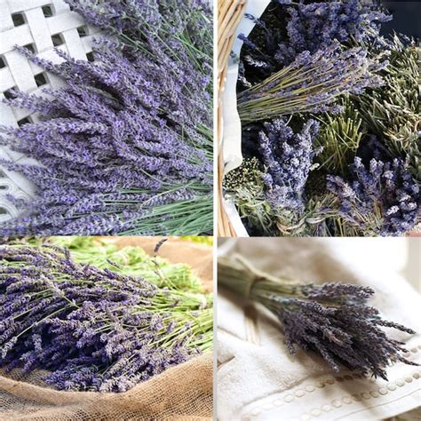English Lavender Bouquet