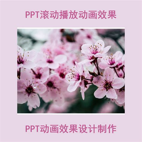 Javascript下拉框如何实现动态交互效果? 商品 淘宝百科网 Javascript下拉框如何实现动态交互效果? 商品 淘宝百科网