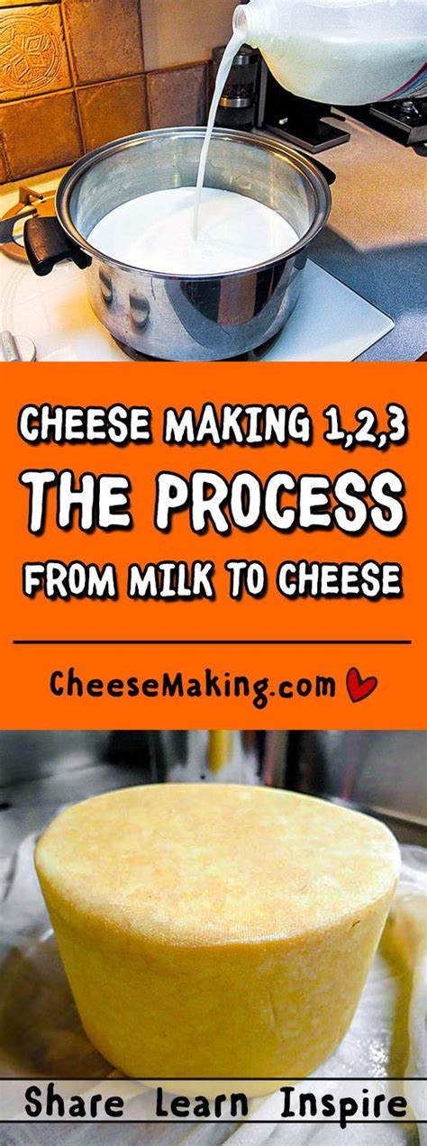 With This Great Beginners Guide To Cheese Making Youll Learn About The