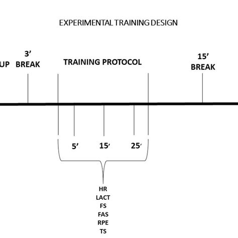 Experimental Training Design Download Scientific Diagram