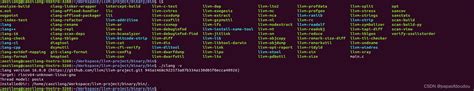编译llvm riscv编译器quickstart llvm riscv编译器编译quickstart csdn博客