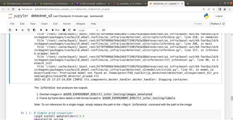 detectnet v2 inference numerous incorrect error alerts tao toolkit