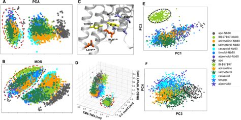 Dimensionality Reduction Analysis Applied To The Active Like Simulation
