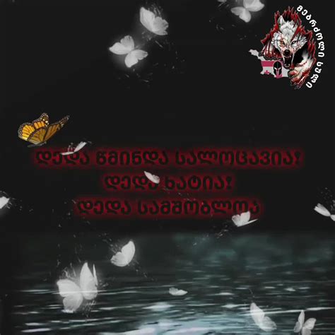 🇬🇪🇬🇪🇬🇪 დაუთმე 2 წუთი By მებრძოლი სული