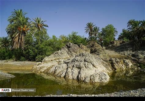 بالصور بساتين النخيل في بلدة ايرندغان بمحافظة سيستان وبلوجستان جنوب