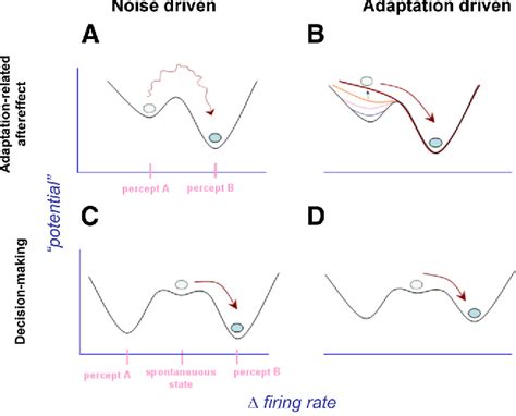 Figure 4 From Neuronal Adaptation Effects In Decision Making Semantic