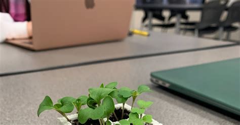 lab week 4