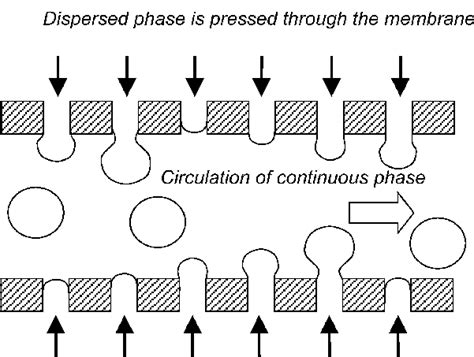 Principle Of Membrane Emulsification Download Scientific Diagram