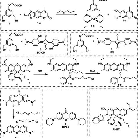 Chemical Structures Of Fluorescent Probes 1 7 Designed For The