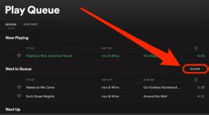 Spotify Not Playing Songs Here S How To Fix It Build My Plays