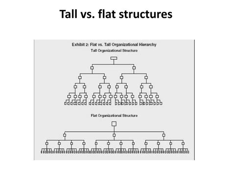 Tall Hierarchy Vs Flat Hierarchy At Bambi Foust Blog