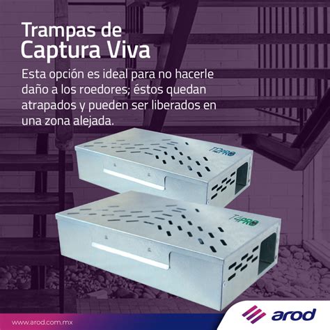 Trampas De Captura Viva Control De Roedores Sin Violencia Arod