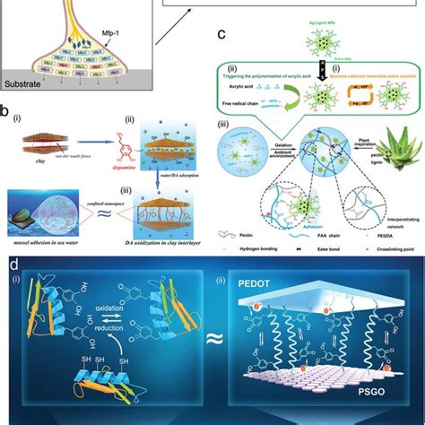 Mussel‐inspired Hydrogels For Self‐adhesive Bioelectronics Request Pdf
