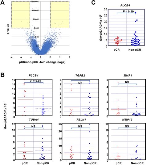 Transcriptomic Screening Validation And Re Validation Of Response