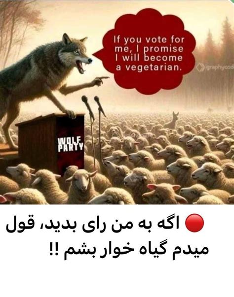 Mina Fathi Dehkordi Posted On Linkedin