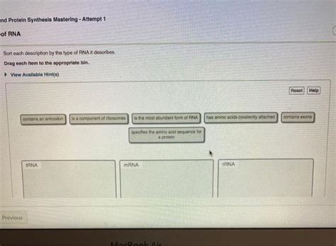 Solved And Protein Synthesis Mastering Attempt 1 Of Rna