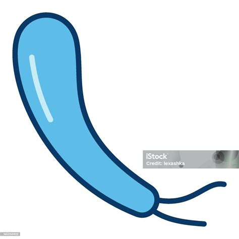 Spirillum Vector Gram Negative Bacteria Concept Blue Icon Stock