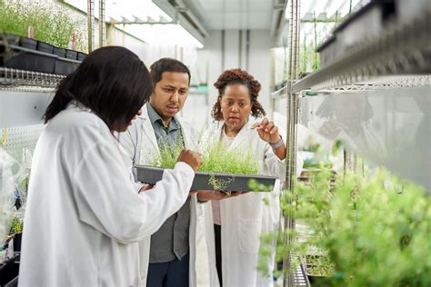 Pioneering Plant Science Research Paves The Way For Deeper