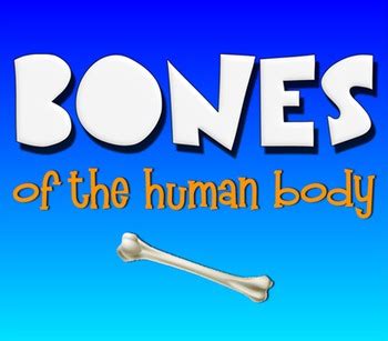 Bones Learn The Bones Of The Human Skeleton By Mr Rs Songs For Teachers