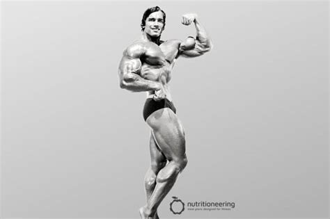 Arnold Schwarzenegger Height And Weight In His Prime And Now