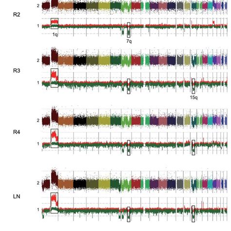 A The Results Of Copy Number Analysis Of Snp Array For Chromosome 9
