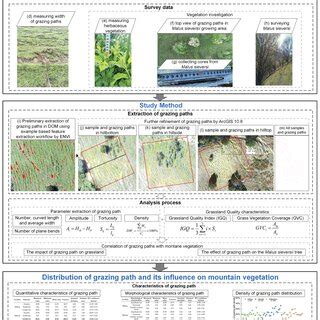 The Technical Flow Chart Of This Study Download Scientific Diagram
