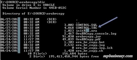 SAP Homogeneous System Copy Using Backup Restore Procedure R3COPY SAP Basis Easy
