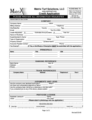 Credit Matrix Template Fill Online Printable Fillable Blank PdfFiller