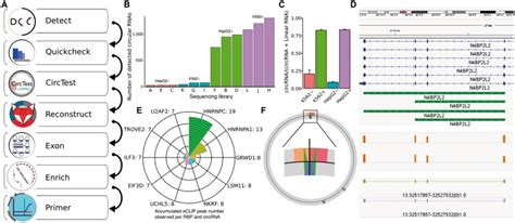 Circtools—a One Stop Software Solution For Circular Rna Research Pmc