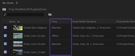 Updated Complete Guide To Premiere Proxies Proxy Workflows