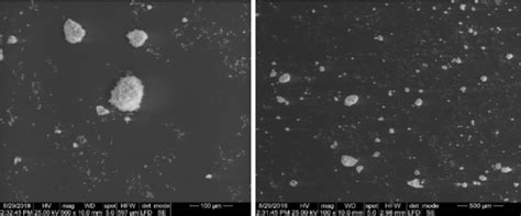 Sem Of Sample Prepared After Drying Download Scientific Diagram